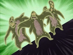 Limax | Alien Species | Fandom