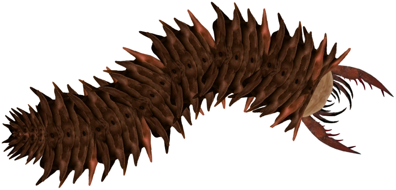 Endworm | Alien Species | Fandom