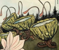 Timpanum | Alien Species | Fandom