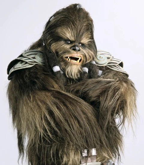 Wookiee | Alien Species | Fandom