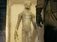 Zetan (Fallout) | Alien Species | Fandom
