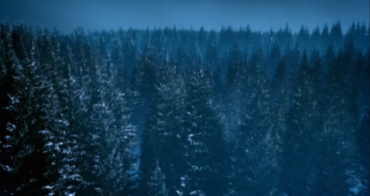 Androzani Pine Tree | Alien Species | Fandom