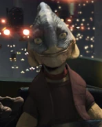 Aleena | Alien Species | Fandom