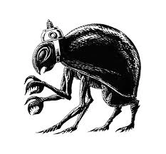 Cascarudos | Alien Species | Fandom