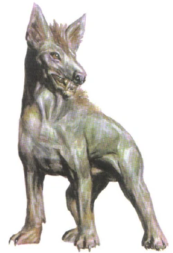 Grint Hound | Alien Species | Fandom