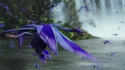 Tetrapteron | Alien Species | Fandom