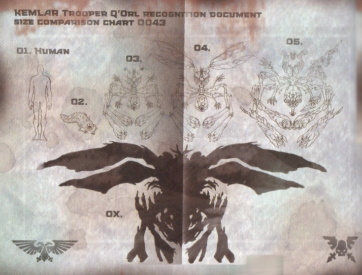 Q'Orl | Alien Species | Fandom