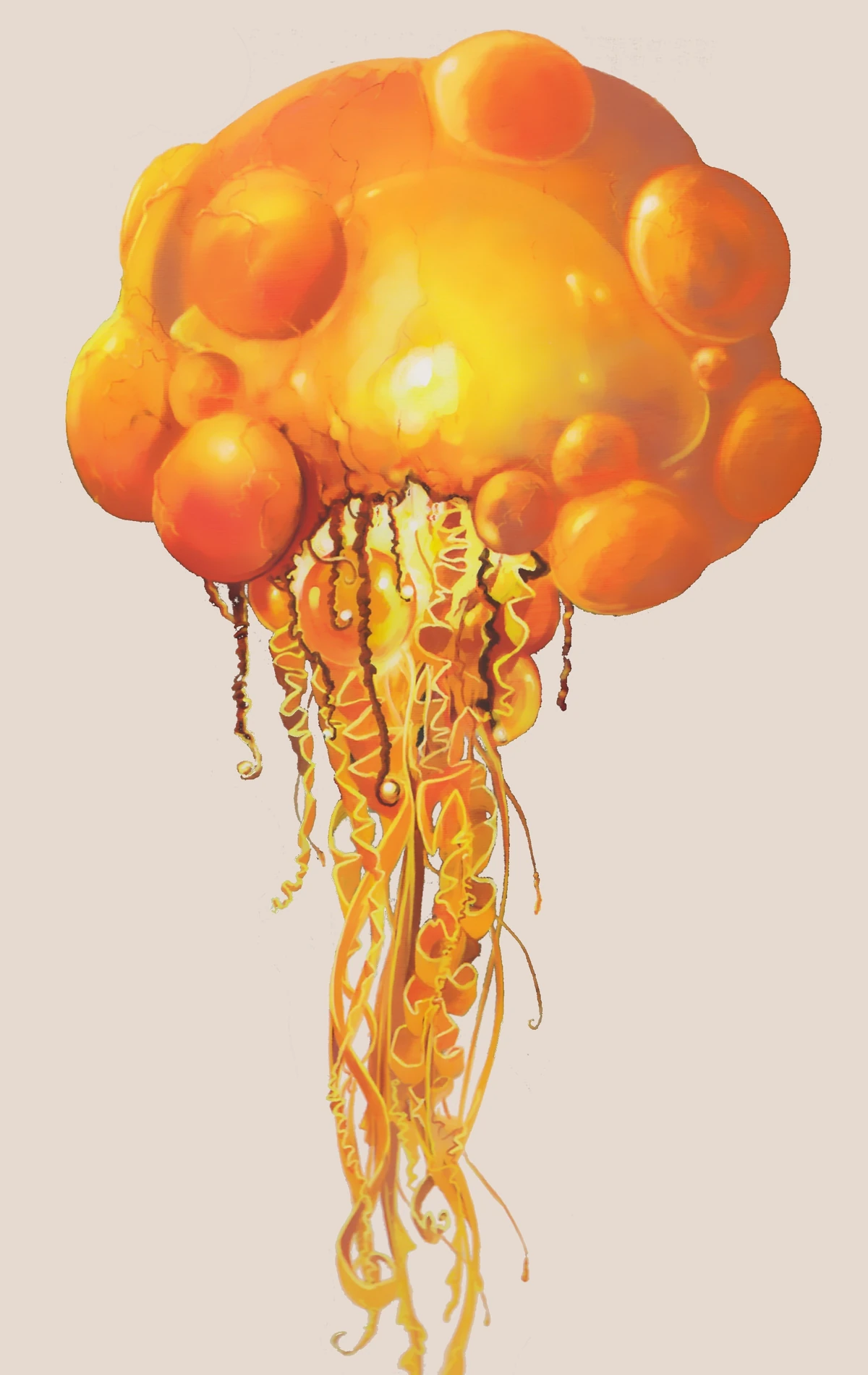 Gasbag (Alienology) | Alien Species | Fandom