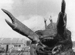 Macra | Alien Species | Fandom