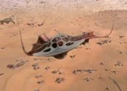 Stingray | Alien Species | Fandom