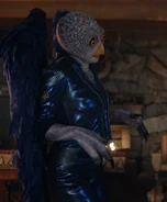 Blue Avian | Alien Species | Fandom