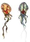 Metroid | Alien Species | Fandom