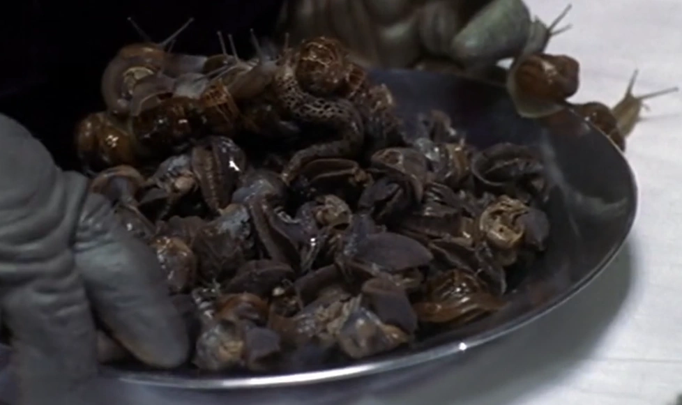 Marjool | Alien Species | Fandom