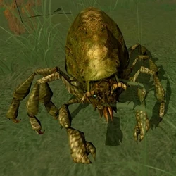 Forest Mite | Alien Species | Fandom