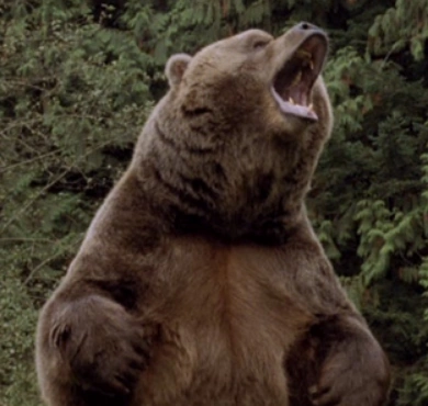 Alien Bear (Savage Planet) | Alien Species | Fandom