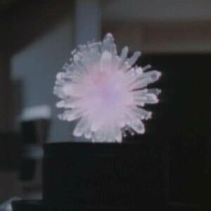 Microbrain | Alien Species | Fandom