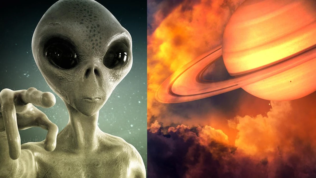 Saturnian | Alien Species | Fandom