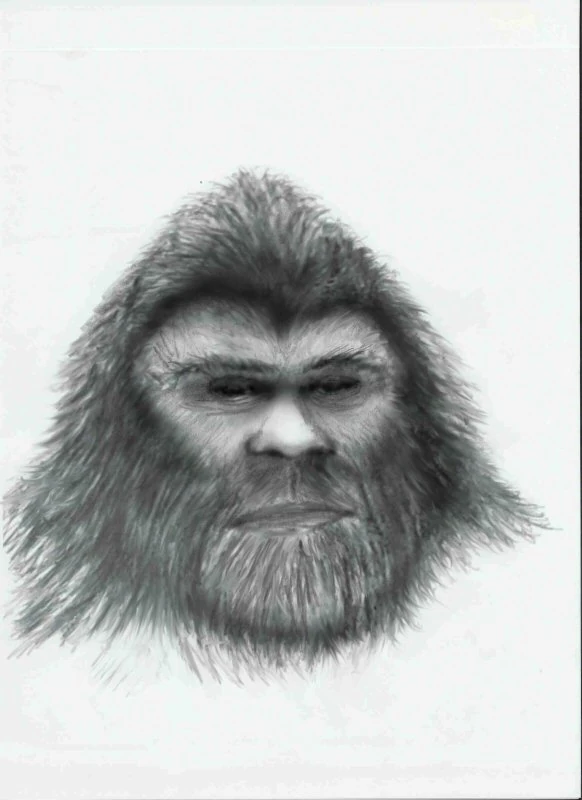 Bigfoot | Bigfoot Owns The Government Wiki | Fandom