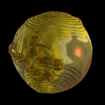 Omess | Alien Species Fanon Wiki | Fandom