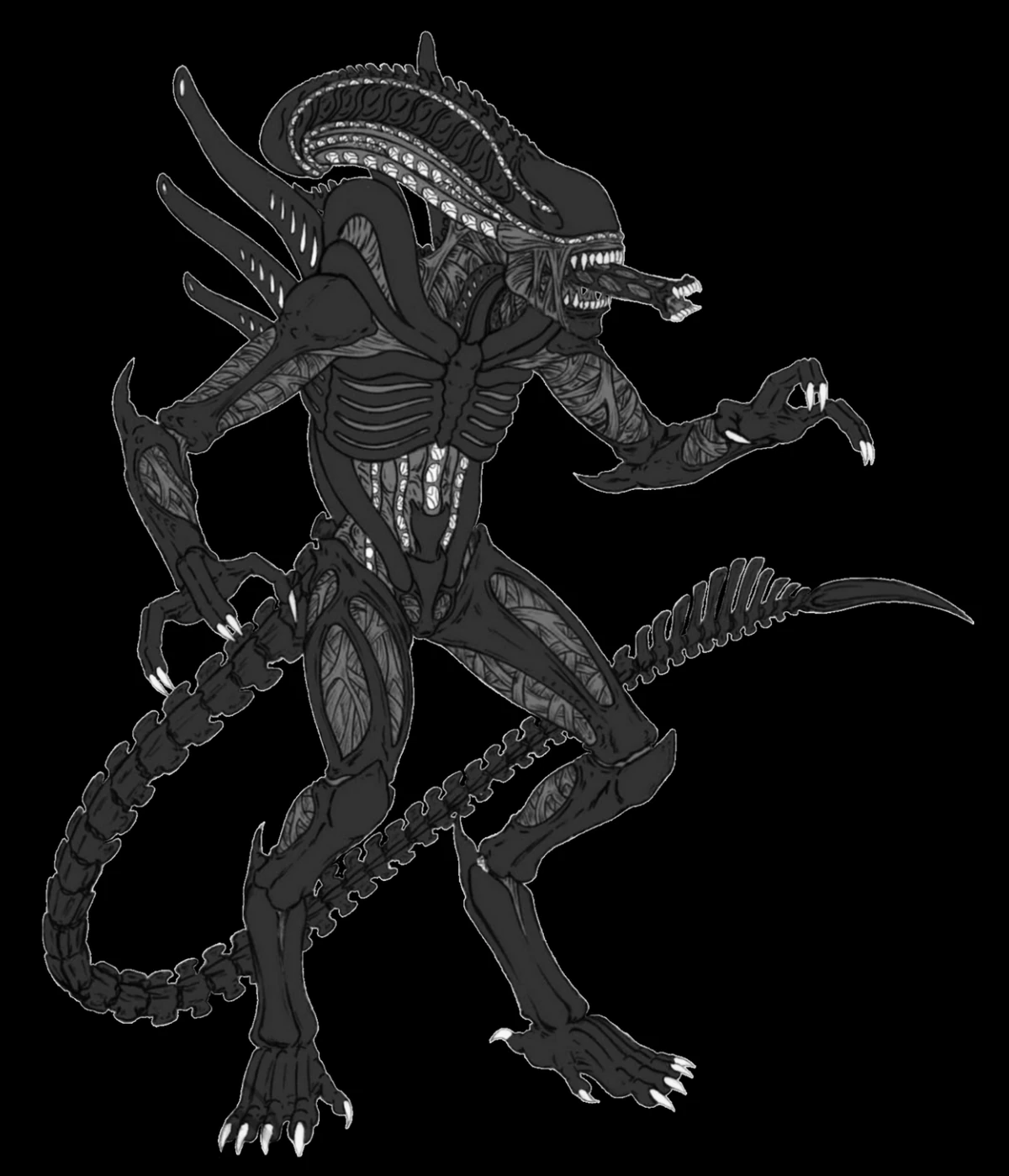 Xenomorph | Alien Species Fanon Wiki | Fandom