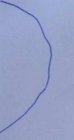 Meiox | Alien Species Fanon Wiki | Fandom