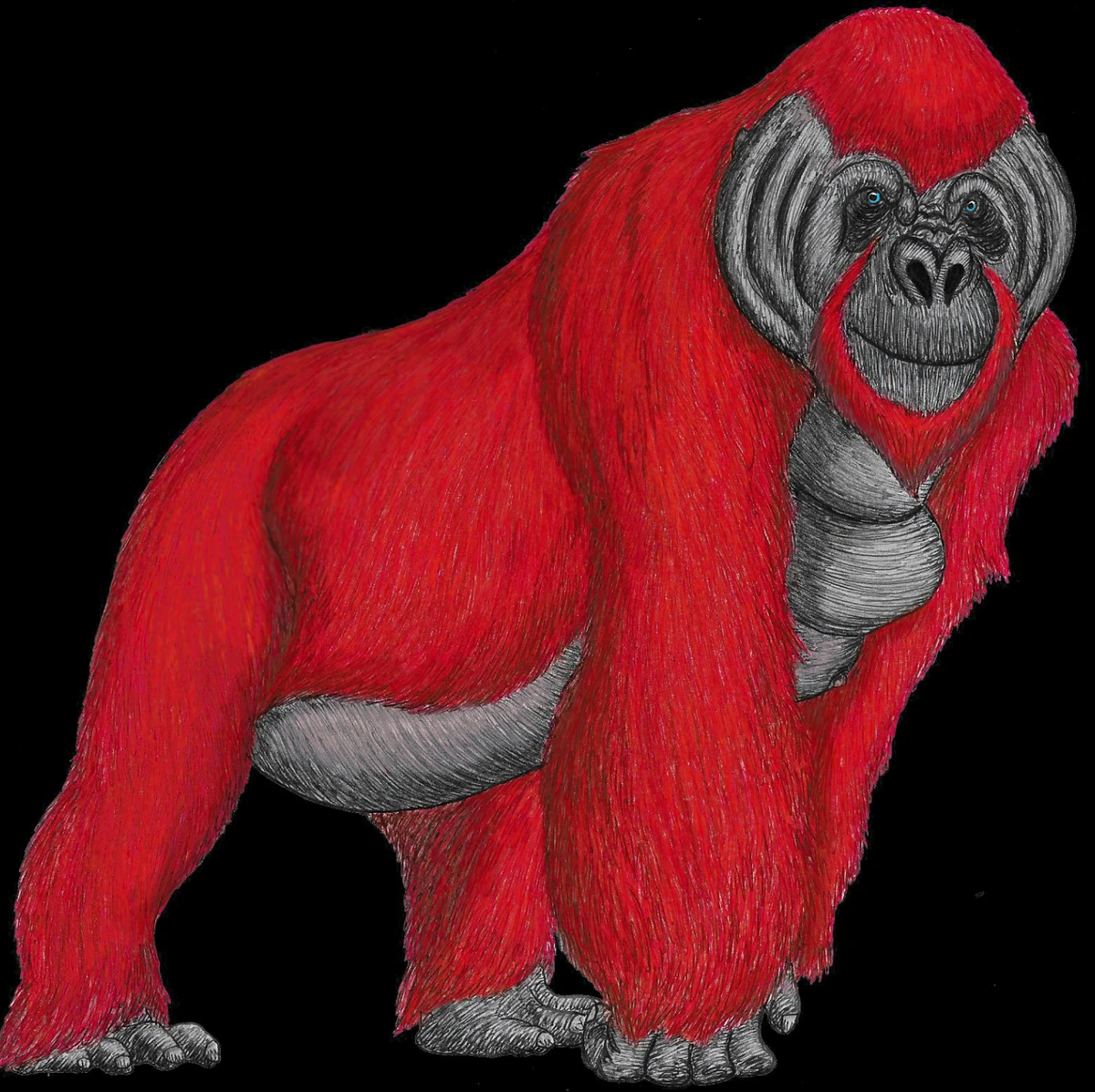 Gigantopithecus | Alien Species Fanon Wiki | Fandom