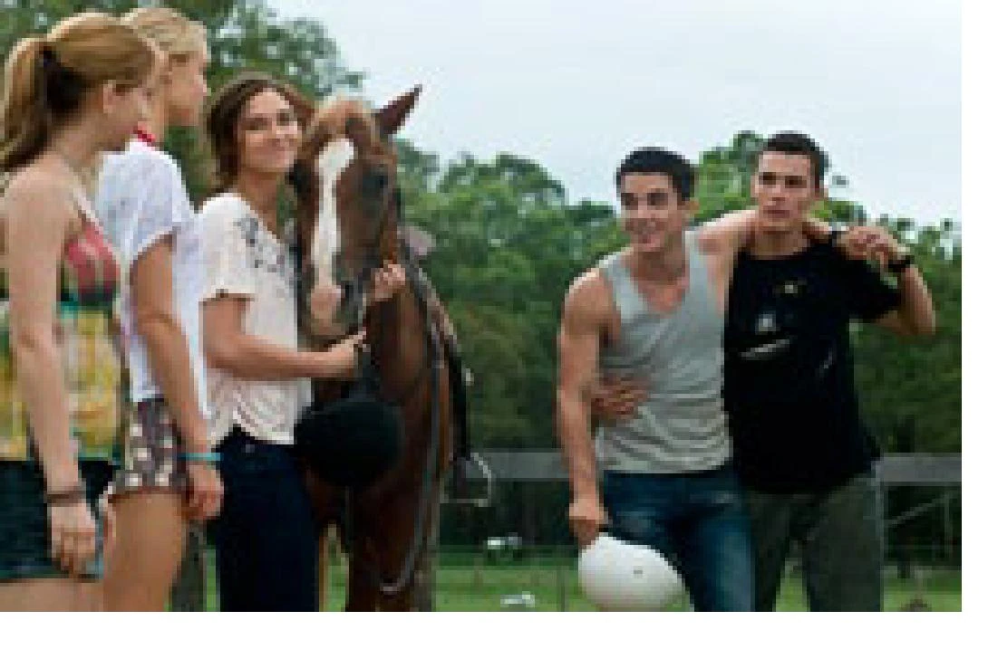 Connections | Alien Surf Girls Wiki | Fandom