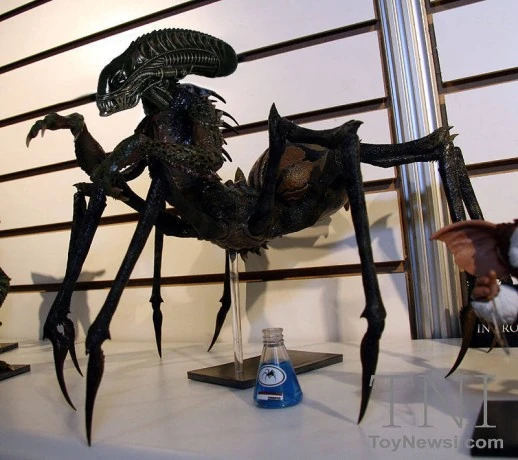 Infectoid | ALIENS VS PREDATORS Wiki | Fandom