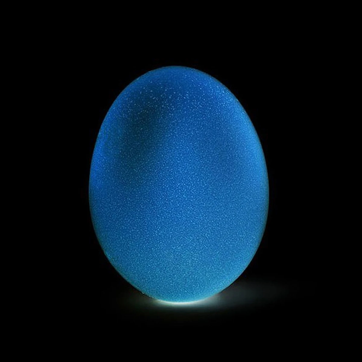 GgE | All About Eggs Wiki | Fandom