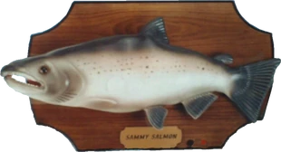 All About Singing Fish! Wiki | Fandom