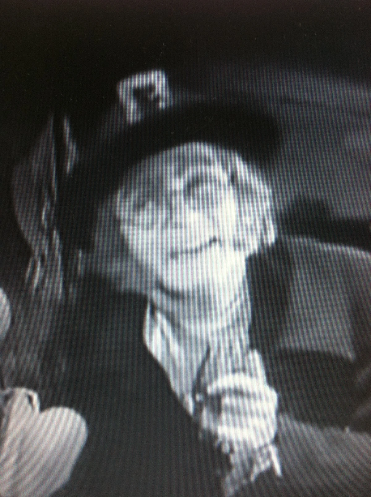 Barnaby | All Characters Names Wiki | Fandom