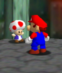 Toad in the Basement's Hallway (SM64) | All Characters Wiki | Fandom