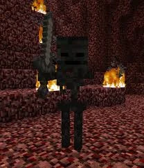 Wither Skeleton/Gallery | All Enemies Wiki | Fandom