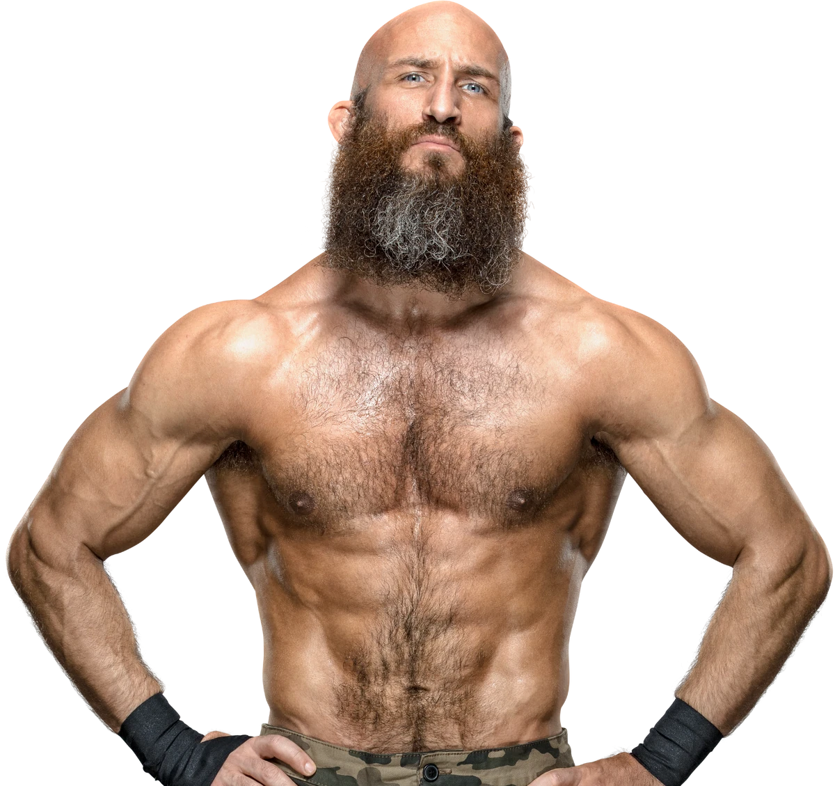 Tomasso Ciampa | ALL ERA WRESTLING FED Wiki | Fandom