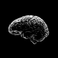 The Backrooms | All Fiction Battles Wiki | Fandom