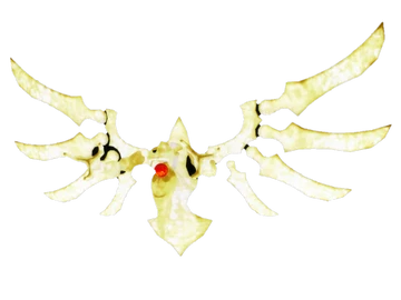 Solaris Phase 2 Sonic