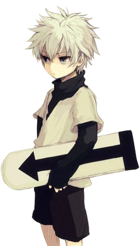 Killua Zoldyck | All Fiction Battles Wiki | Fandom