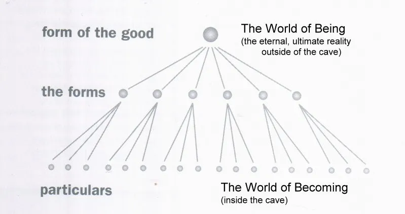 User blog:SuperBearNeo X/Tiering System Revision - Physical ...