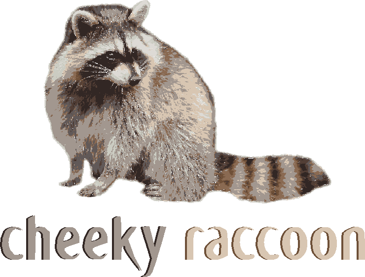 Cheeky Raccoon | BrainGames Wiki | Fandom