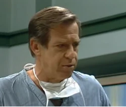 Dr. Seymour Shapiro | All in the Family TV show Wiki | Fandom