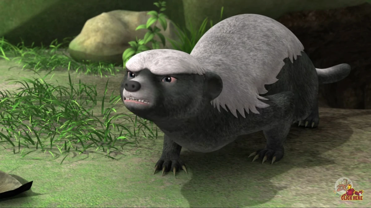 Honey Badger | Animals Wiki | Fandom