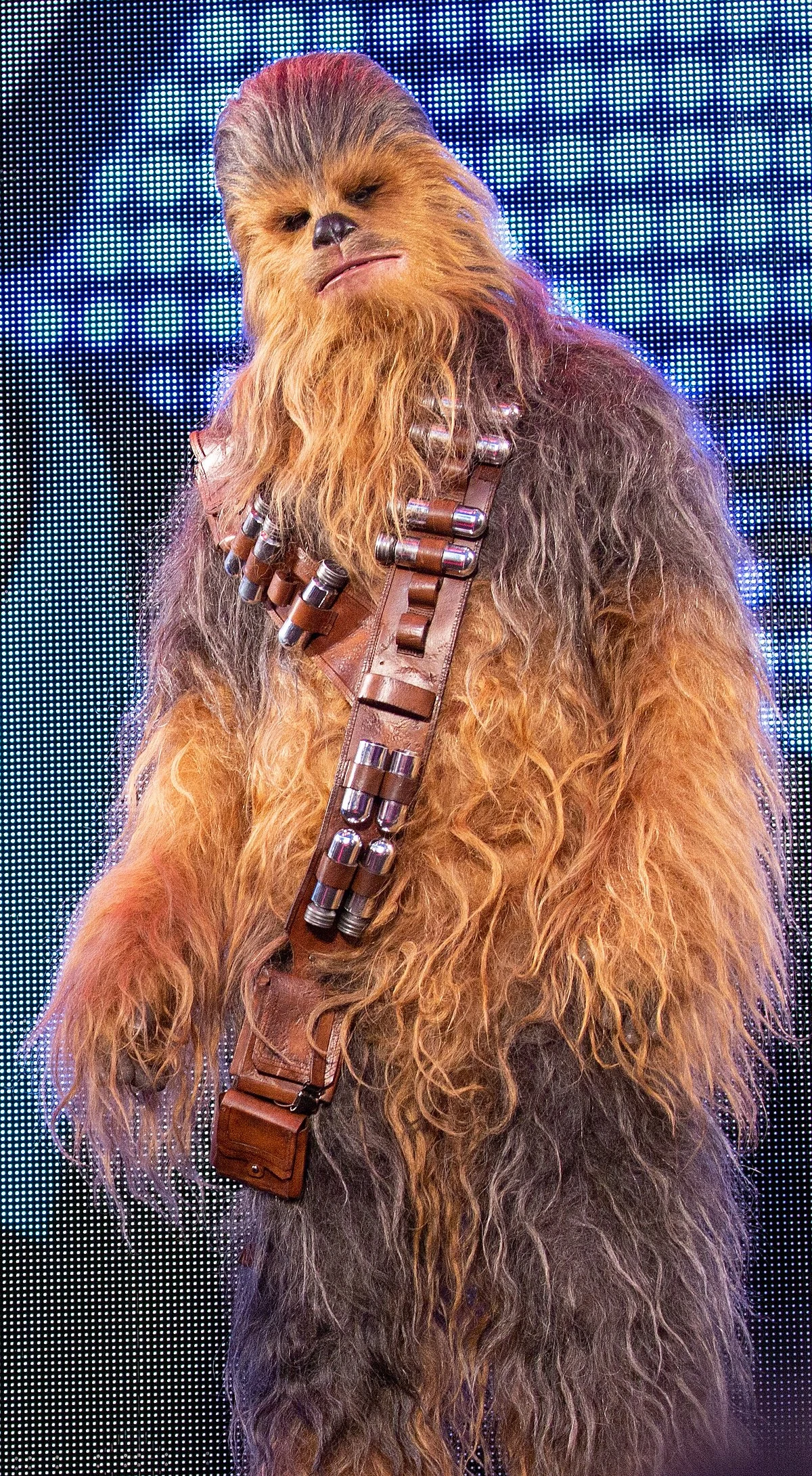 Chewbacca | All of the universes Wiki | Fandom