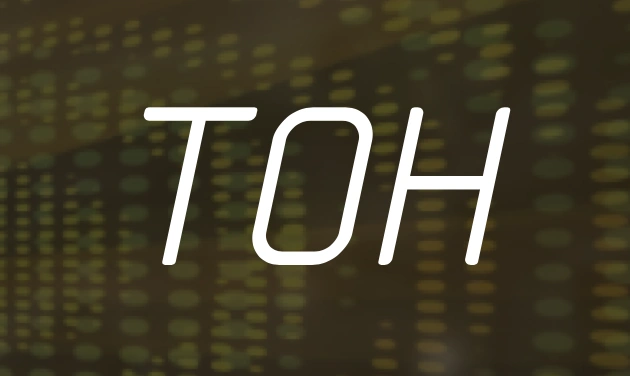 The Official Hierarchy ⧉ | All Realities Wiki | Fandom