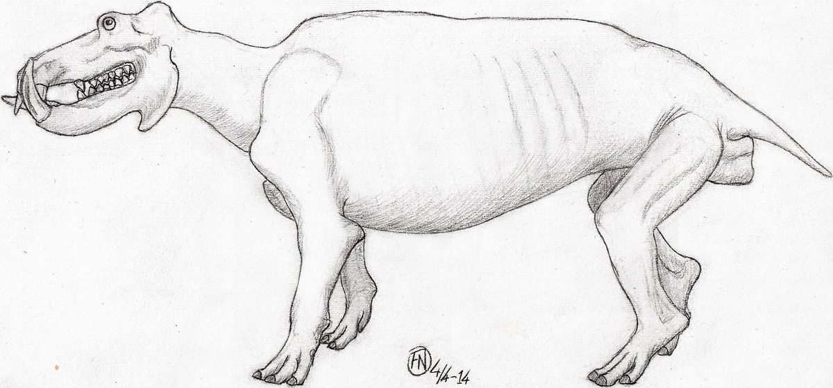 Hippopotamus | All Todays Wiki | Fandom