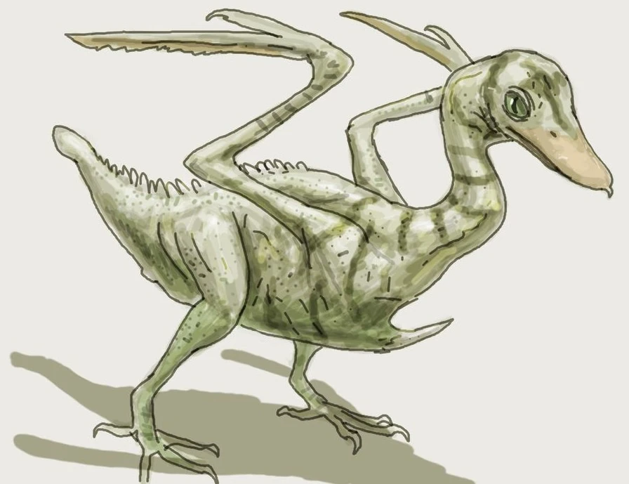 Duck | All Todays Wiki | Fandom