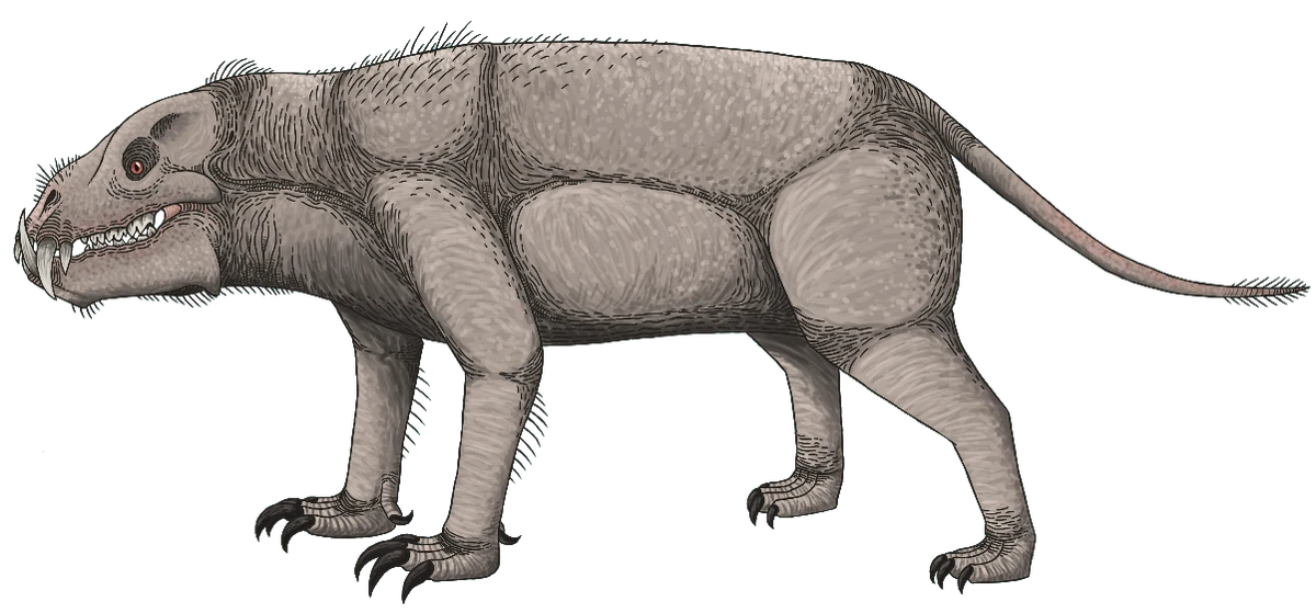 Indotherium | All Todays Wiki | Fandom