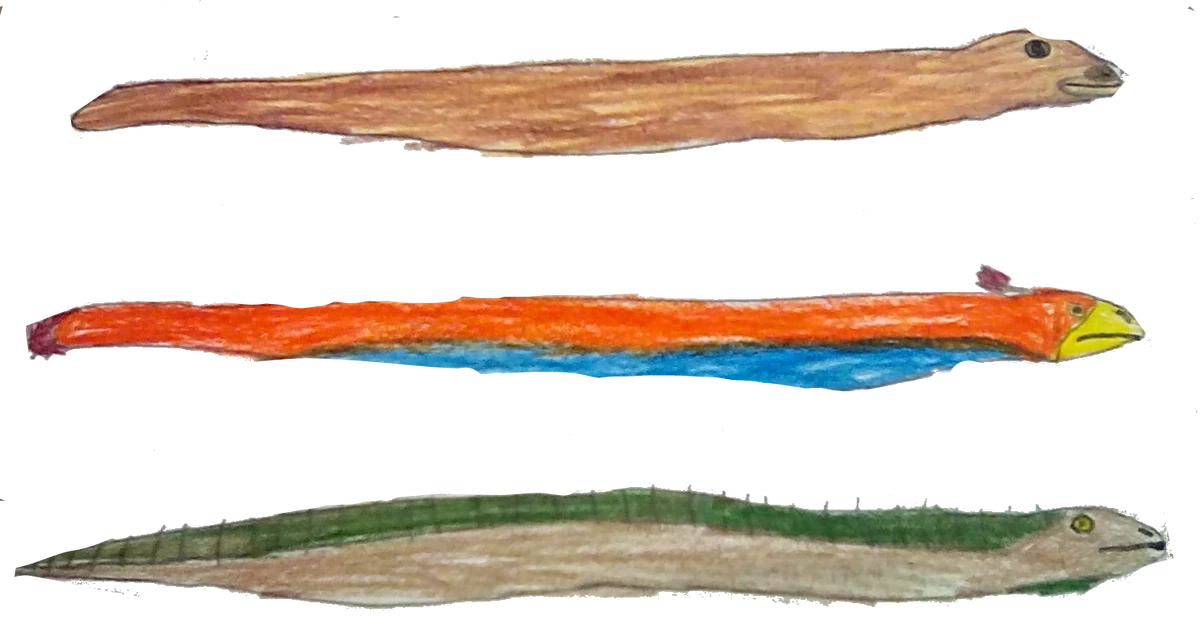 Snake | All Todays Wiki | Fandom