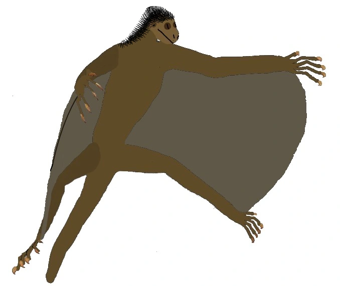 Colugo | All Todays Wiki | Fandom