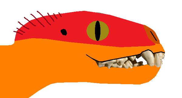 Fossa | All Todays Wiki | Fandom