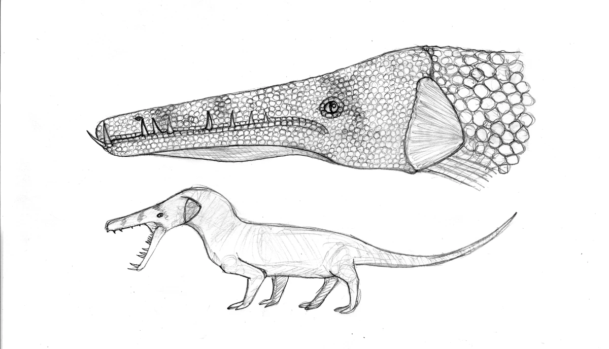 Gar | All Todays Wiki | Fandom